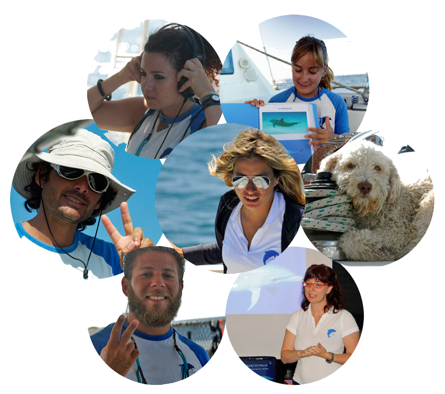 Staff | Centro Ricerca Cetacei